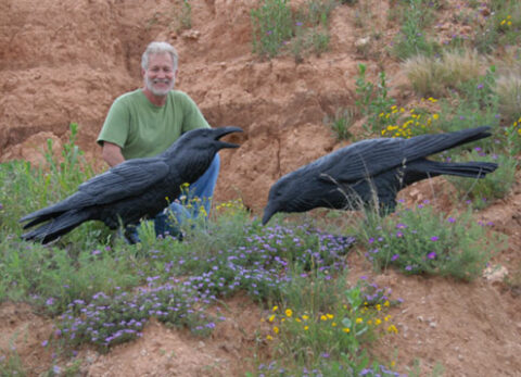 Legacy Awards - Art on the Llano Estacado